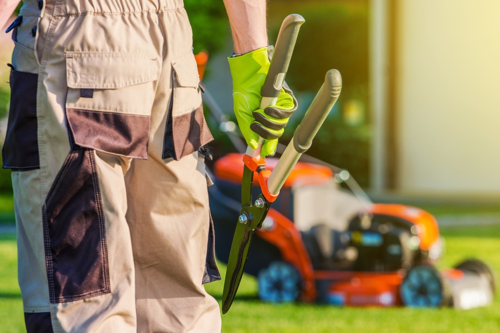 Essential Advice for Starting an Orchard at Home - Pop Polling